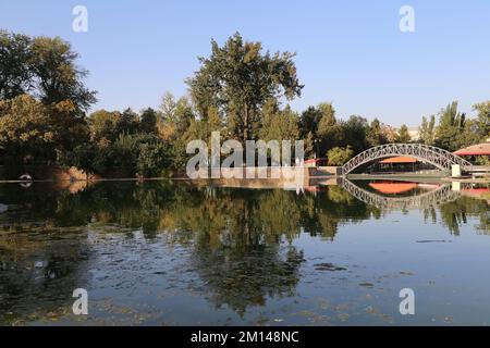 Seattle Peace Park, Do'stlik Bogi, Babur Street, South Tashkent ...
