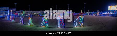 The First Annual Columbia Firefly Light Christmas Celebration at Segra ...