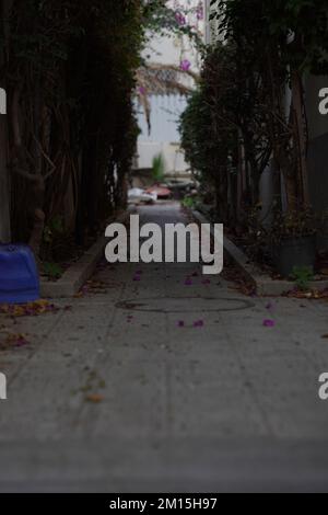 The gap between buildings Narrow pathway in tel aviv street Stock Photo ...