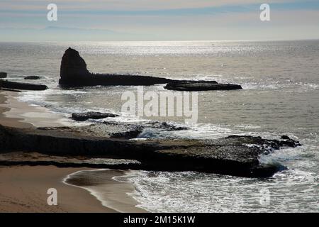 Nearshore rock from Ohlone Bluff Trail, Wilder Ranch State Park ...