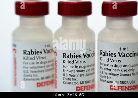 Cairo, Egypt, December 8 2022: Rabis vaccine killed virus for use of ...