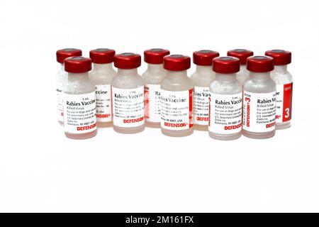 Cairo, Egypt, December 8 2022: Rabis vaccine killed virus for use of ...
