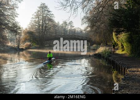 A single scull boat from Guildford Rowing Club sculling on the River ...