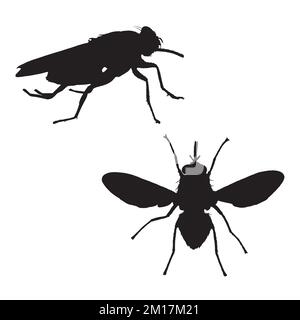 Vector Illustration of Tsetse Fly Silhouette Stock Vector Image & Art ...