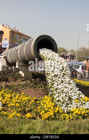 Flowers running out of a pipe in a garden Stock Photo - Alamy