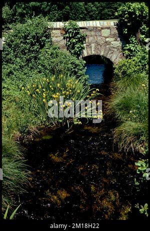 Stream feeder to Charles River at Audubon Soc. Res., Natick off Rt. 16 ...