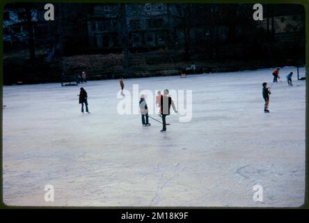 Suburban ice skating at sunset (Newtonville) , Lakes & ponds, Skaters ...