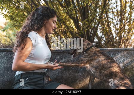 beautiful female dog trainer hugs her dog during a training break ...