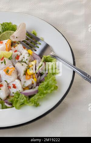 Typical Peruvian food, ceviche. Rustic presentation on a colored plate ...