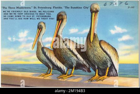 'The three musketeers,' St. Petersburg, Florida, 'the sunshine city ...