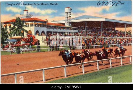 They're off,' Tropical Park, Miami, Florida , Sports & recreation ...