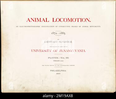 Title page , an electro-photographic investigation of consecutive ...