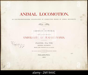 Title page , an electro-photographic investigation of consecutive ...