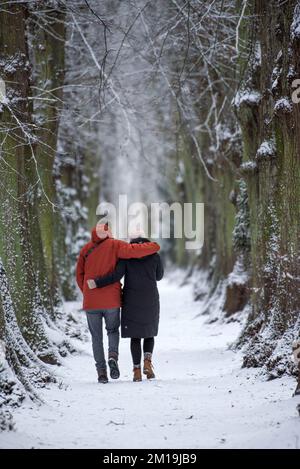 Rostock, Germany. 11th Dec, 2022. Passenger cars driving on the snow ...