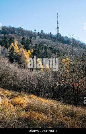 Sitno hill, Stiavnica Mountains forest, Slovak republic. Seasonal ...
