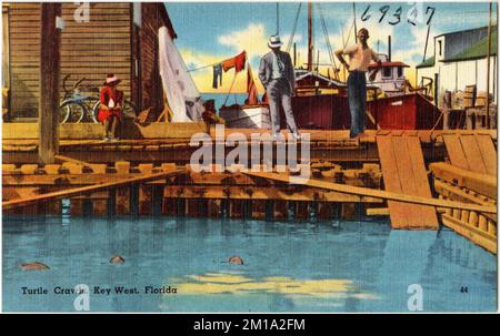 Turtle crawls, Key West, Florida , Harbors, Tichnor Brothers Collection ...