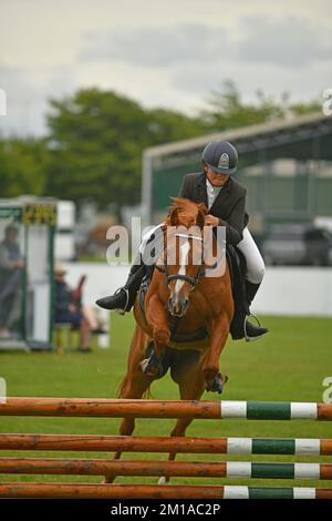CHRISTCHURCH, NEW ZEALAND, DECEMBER 9, 2022: A show jumping competitor ...
