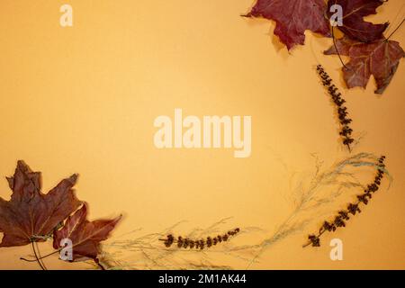 Maple leaves frame area for copy space Stock Photo - Alamy