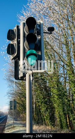 Green vegetation and other objects covered with frost , after frost in ...