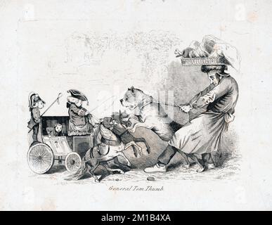 Charles Sherwood Stratton "General Tom Thumb" (1838-1883) and Mercy ...