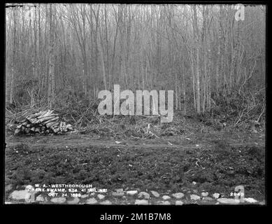 Wachusett Aqueduct, Crane Swamp improved (swamp drained), station 45, A ...