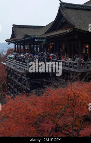 Kiyomizu Temple, one of Kyoto’s most popular tourist attractions ...