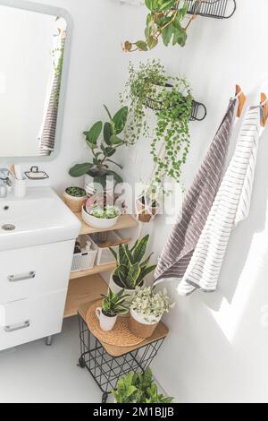 White bathroom minimalist Scandi interior sink mirror potted plant ...