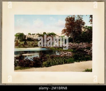 Ward's Pond , Lakes & ponds, Trails & paths, Flowers. Leon Abdalian ...