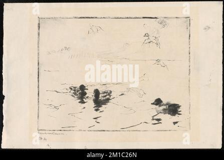 Whistlers , Ducks, Black-bellied whistling-duck. Frank W. Benson (1862 ...