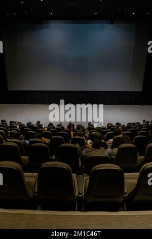 Businessman in the auditorium, Conference Hall, successful startup ...
