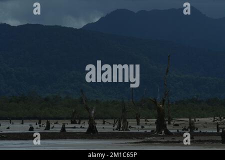 The very end of Rambungan beach- various tree stumps and it mountain ...