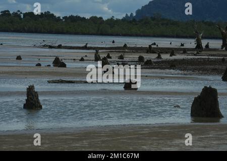 The very end of Rambungan beach- various tree stumps and it mountain ...
