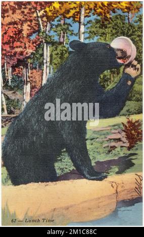 62 -- Lunch time , Tichnor Brothers Collection, postcards of the United ...