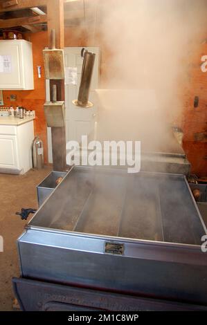 Evaporation of water. Steam rises from the mouth of a kettle during the ...