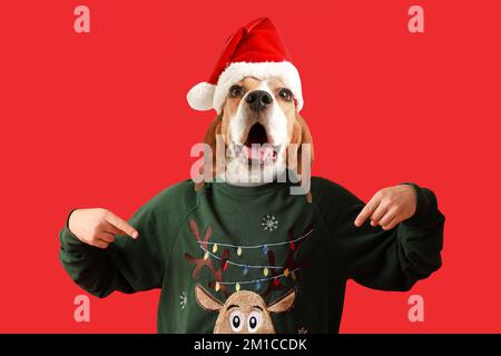 Man with head of dog wearing sweater and Santa hat on red background ...