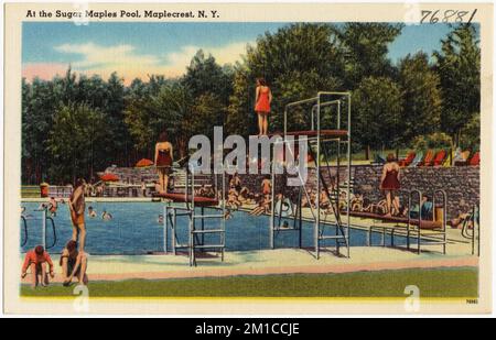 At the Sugar Maples Pool, Maplecrest, N. Y. , Sports & recreation ...