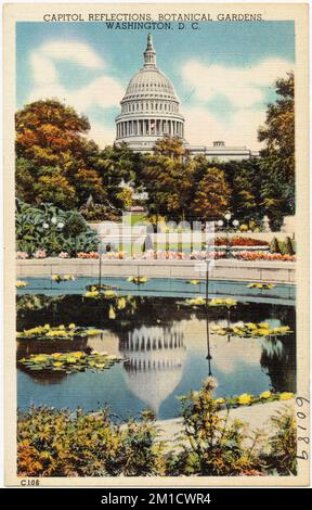 Capitol reflections, Botanical Gardens at night, Washington, D. C ...