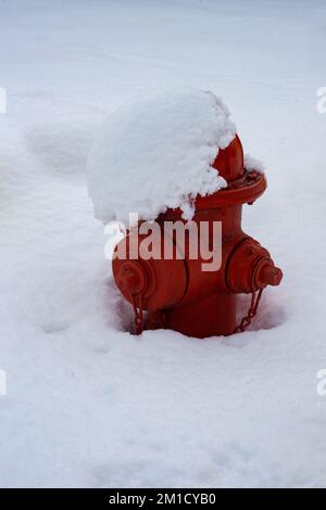 A red fire plug covered in snow, in Troy, Montana Stock Photo - Alamy