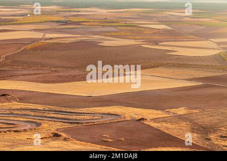 View of the Spanish mesas near Consuegra in the La Mancha region of ...