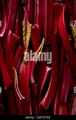 Beets with bright red stems and green leaves ready to be peeled and ...