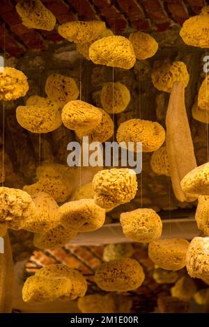Collection of sea sponges hanging on a market stall Stock Photo - Alamy