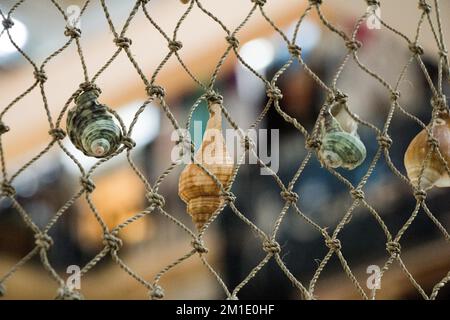 Various types of little seashells attached on a net Stock Photo - Alamy
