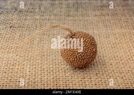 Brown pod or capsule on a linen canvas background Stock Photo - Alamy