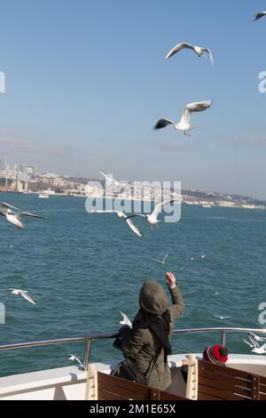 Seagulls are flying in sky over the sea waters Stock Photo - Alamy