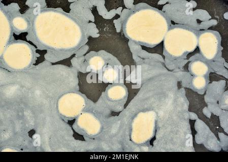 Surf on sand, Bhagal beach, Valsad, Gujarat, India, Asia Stock Photo ...