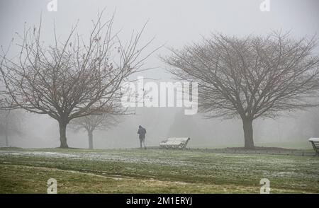 Foggy conditions in Phoenix Park, Dublin, as the Irish Met office ...