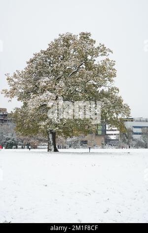 A snow-covered Montrose Pk on the 12-12-2022, in Barnet, London ...