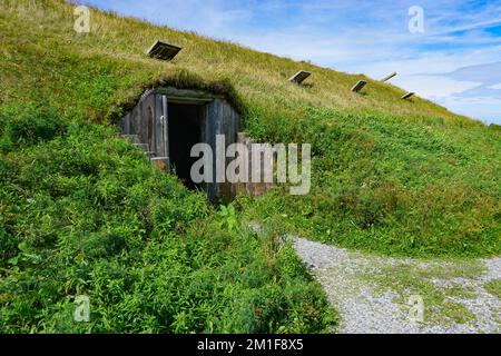 Entrance to the Norstead Viking Village, reconstruction of a Viking Age ...