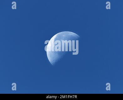 Blue sky with half moon by day and green trees. La Morcuera, Madrid ...