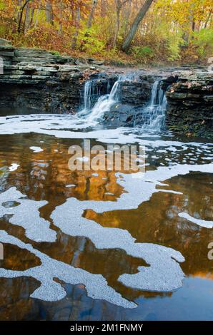 Waterfall Glen Forest Preserve is named after this man-made waterfall ...